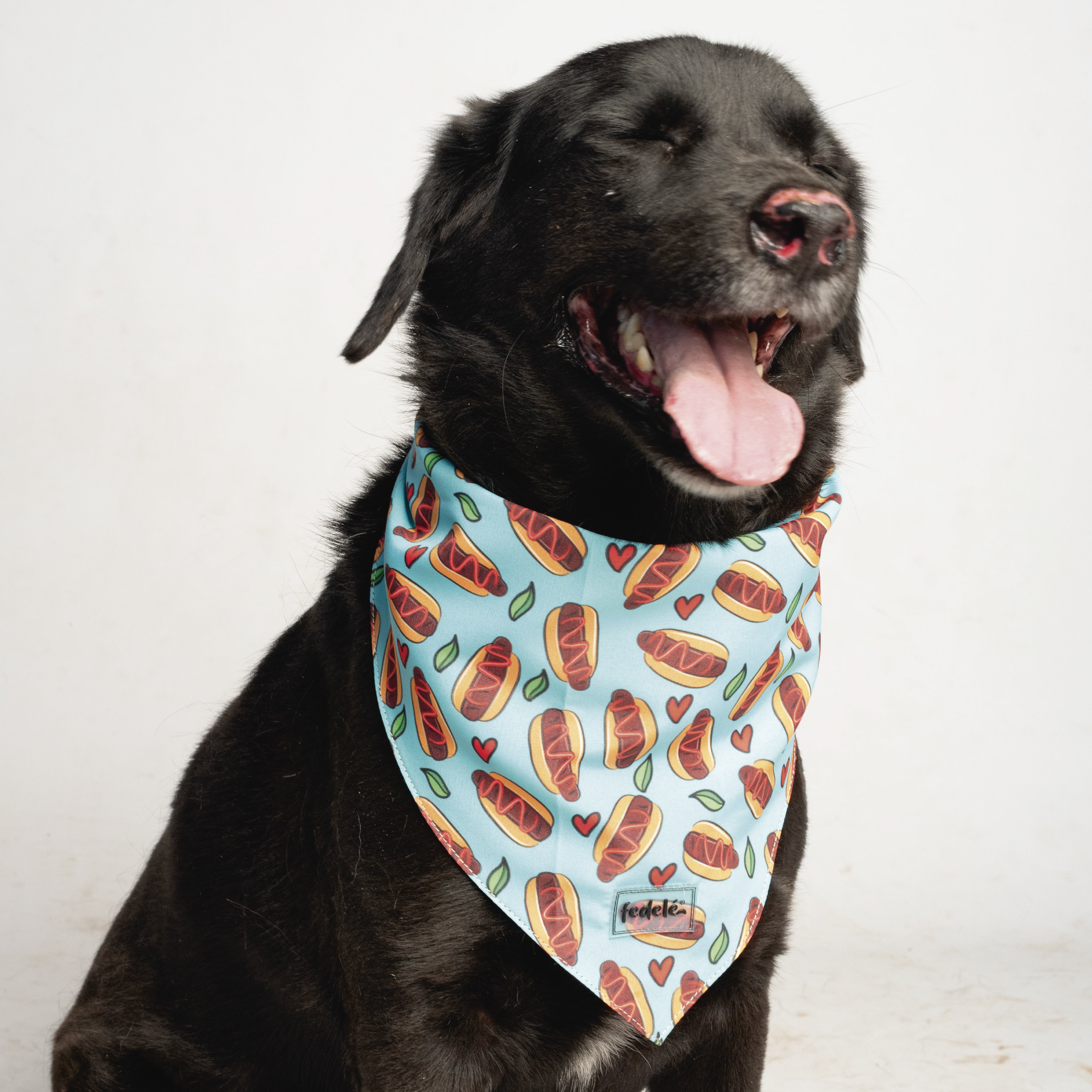 PAÑOLETAS – Fedele Mascotas